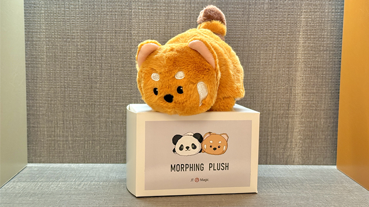 Morphing Plush (Panda to Raccoon) by Jackie Zhao and JT Magic ...